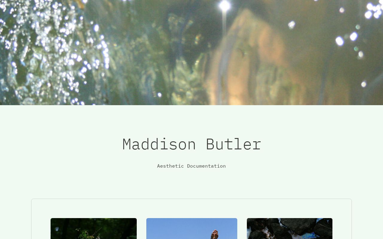 Maddison Butler's Portfolio